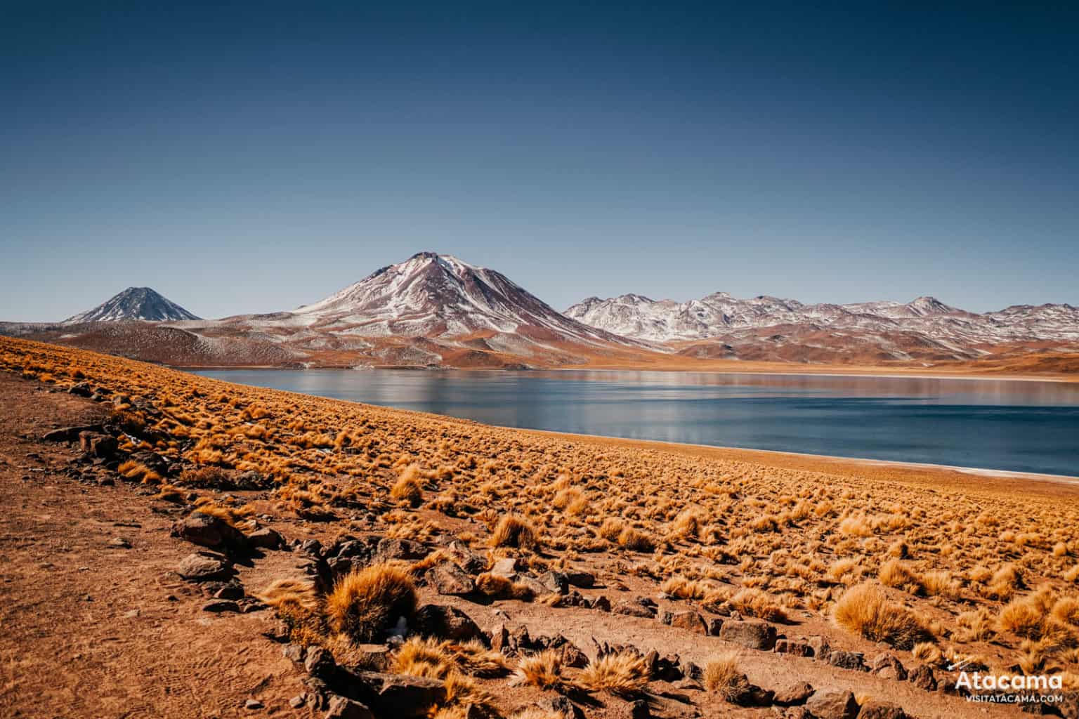 Discover the Altiplanic lagoons in Atacama Desert, Chile