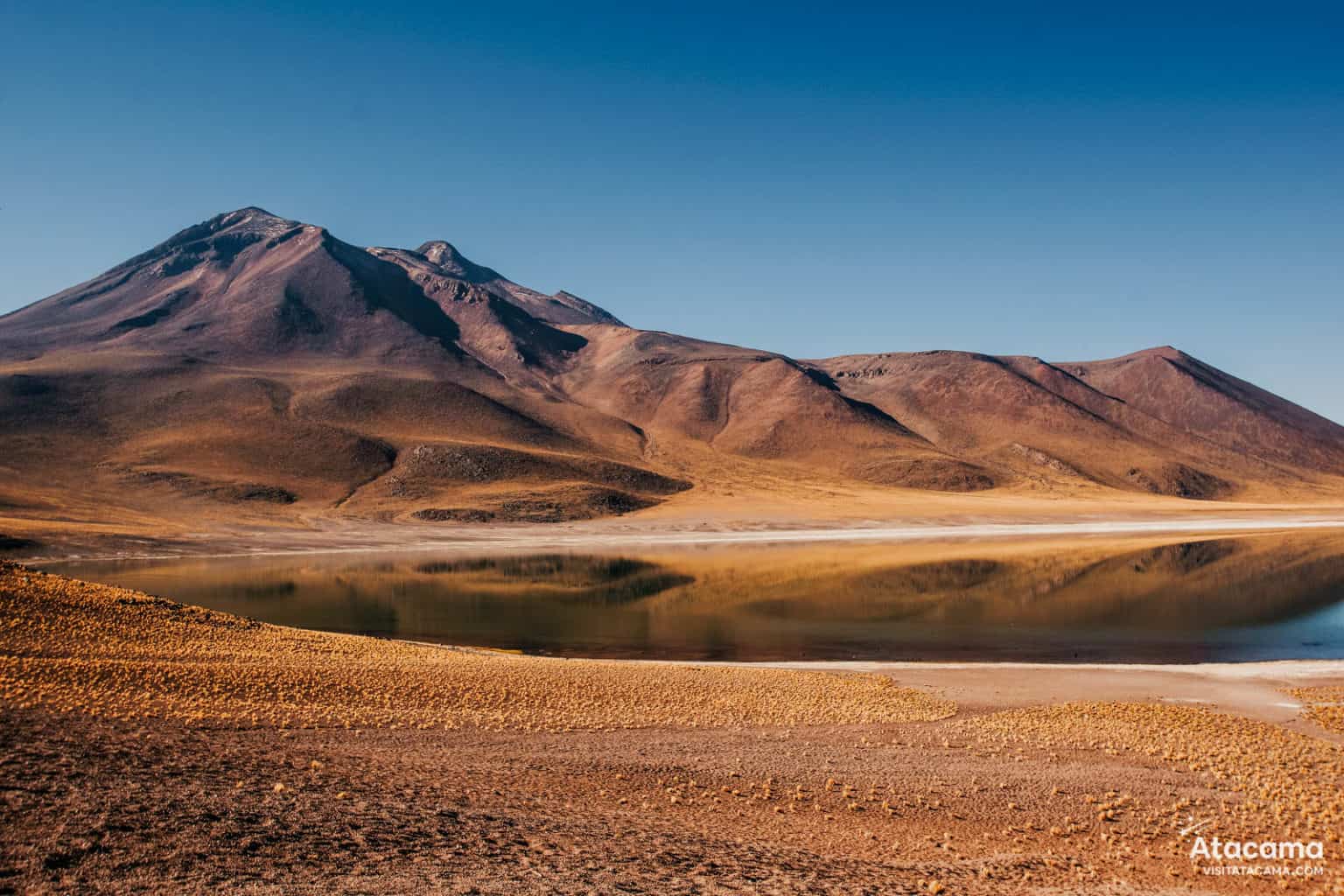 Discover the Altiplanic lagoons in Atacama Desert, Chile