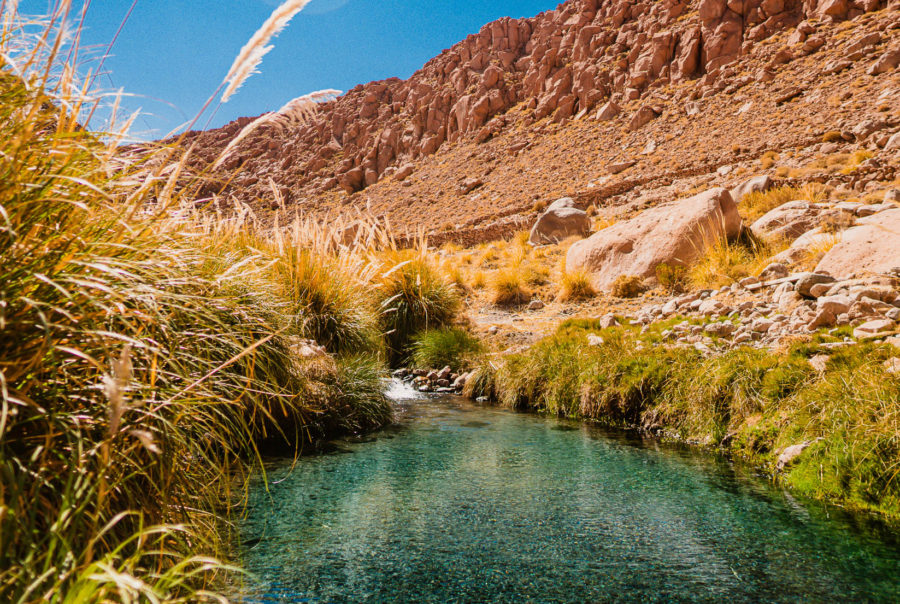 Hidden Lagoons of Baltinache Tour in Atacama Desert, Chile